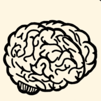 The Neuro Platform – Decoding the Mind, One Neuron at a Time